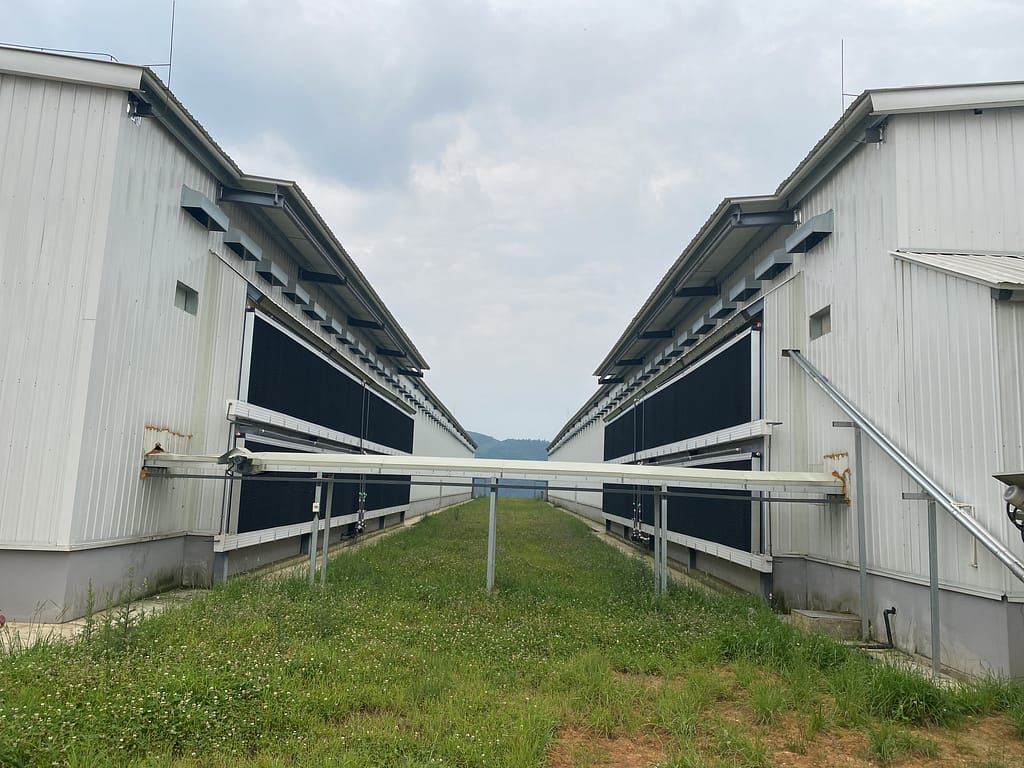 Climate controller - Catchoe - China modern poultry & livestock ...