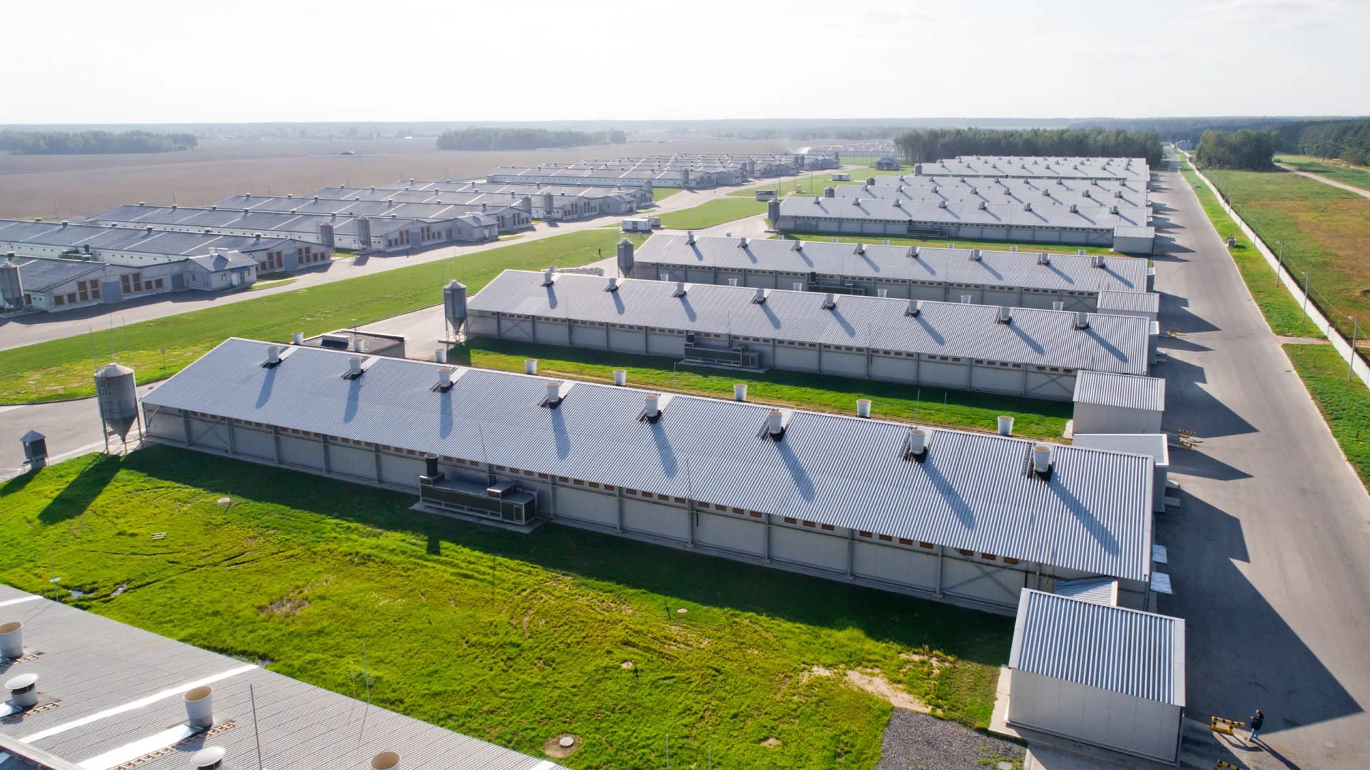 What's the Blueprint for a Perfect Chicken Building? - Catchoe - China ...